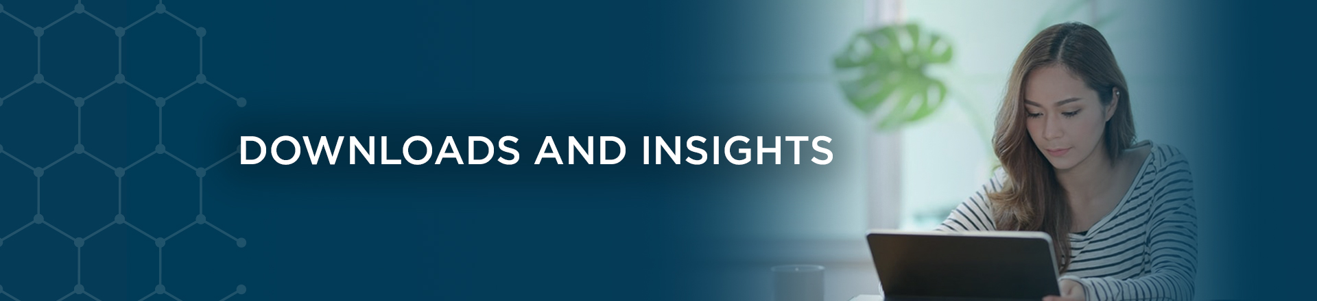 Data Privacy Insights | Hush-Hush